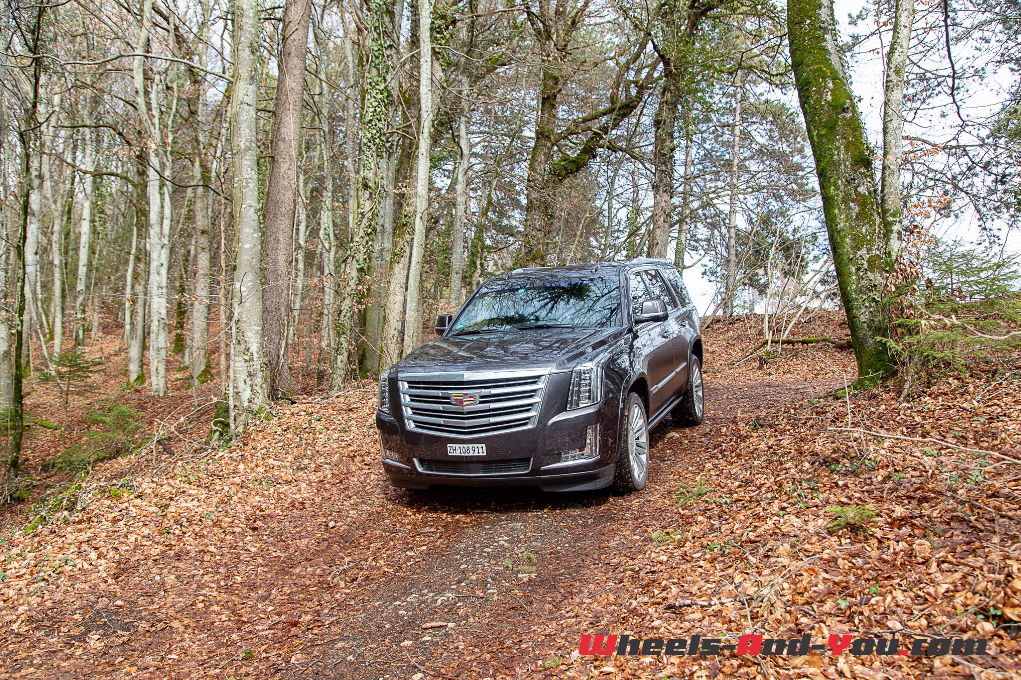 Essai – Cadillac Escalade : Cé qu’è lainô (celui qui est en haut ...