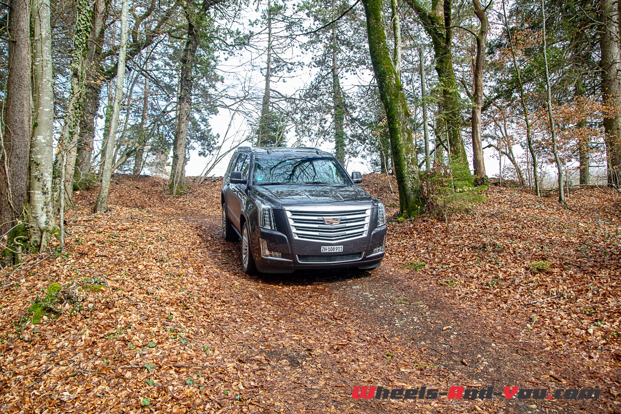 Essai – Cadillac Escalade : Cé qu’è lainô (celui qui est en haut ...